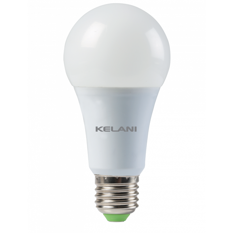 LED BULBS - 12W Daylight Screw - Hardware, Homeware & Lifestyle