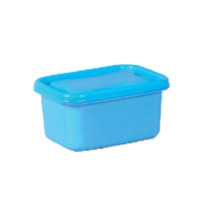 HSP SMALL FOOD CONTAINER COLOUR [HF001-B] - Hardware, Homeware & Lifestyle