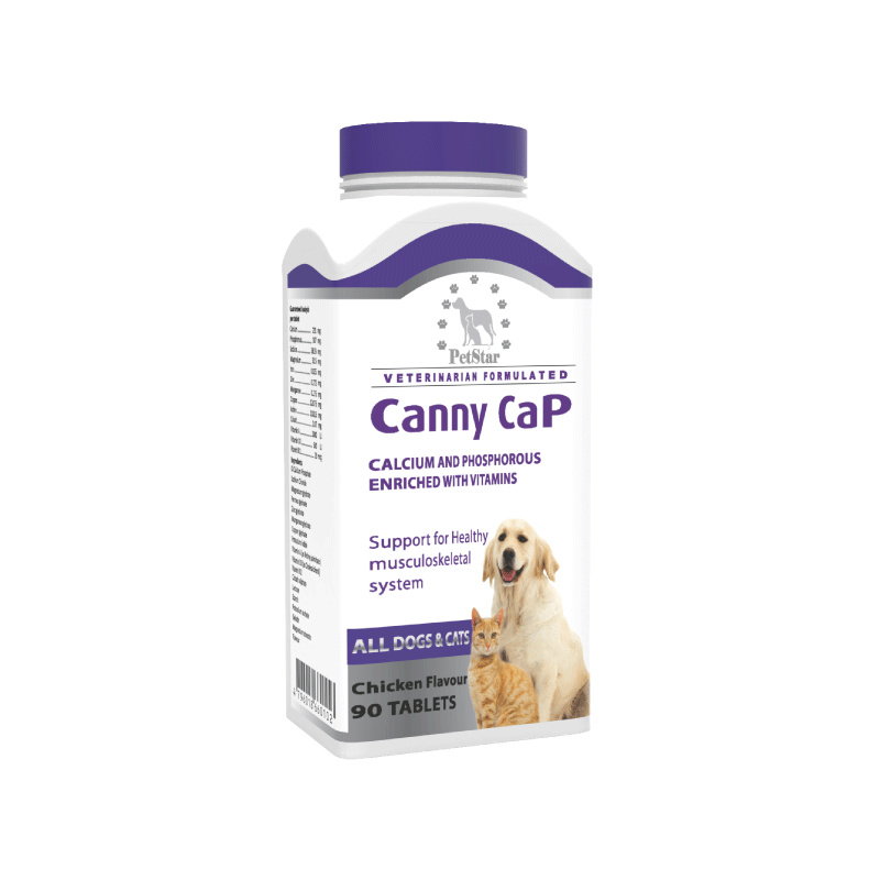 CANNY CAP 90'S TABLET - Hardware, Homeware & Lifestyle