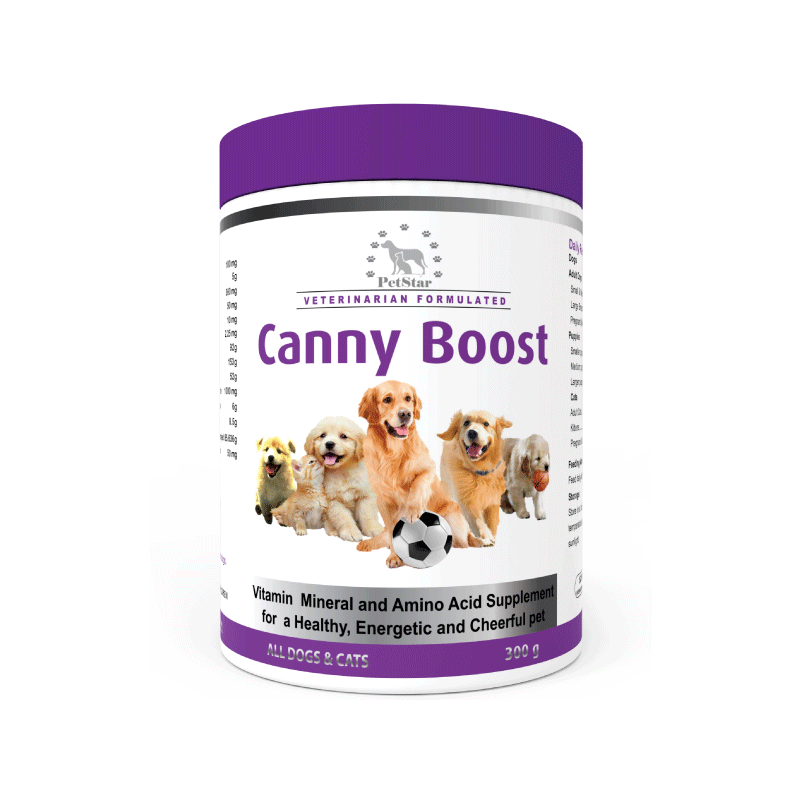 CANNY BOOST 300G - Hardware, Homeware & Lifestyle