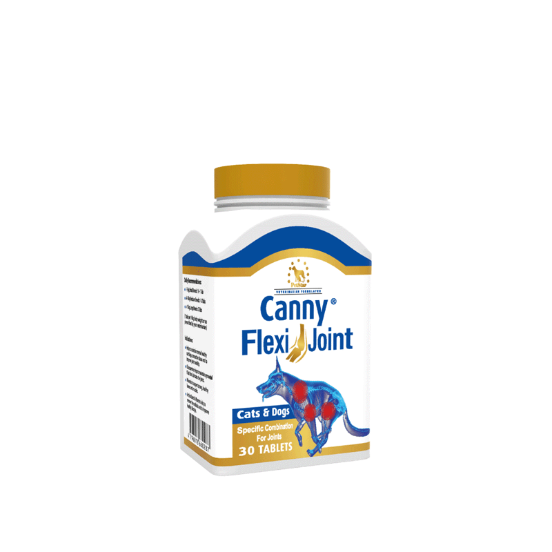 CANNY FLEXI JOINT 30'S TABLET - Hardware, Homeware & Lifestyle